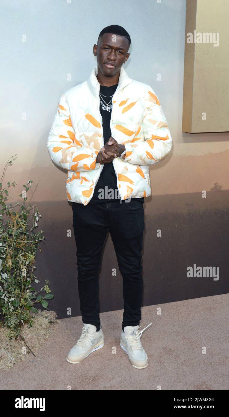 Photo Must Be Credited ©Alpha Press 078237 24/08/2022 Hardy Caprio The ...