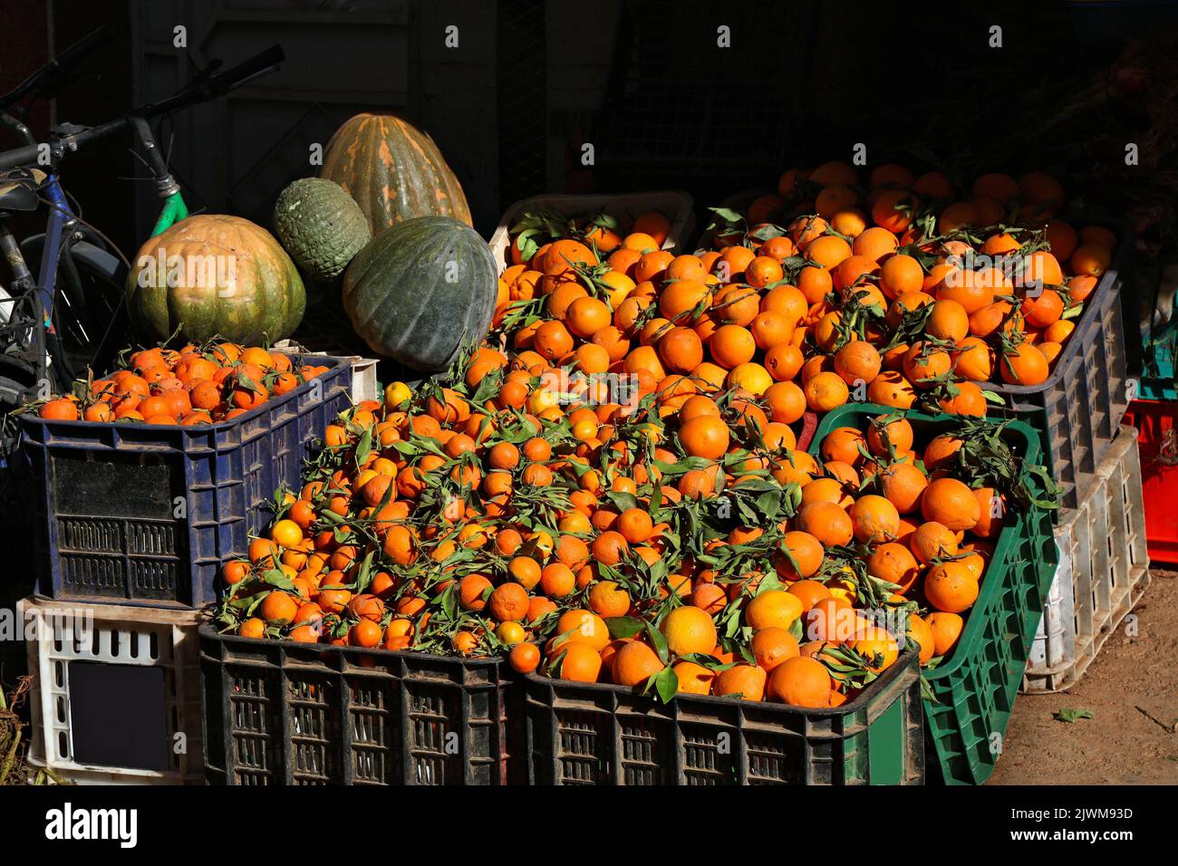Taroudant, Morocco. Local fruit and vegetable store with boxes of ...