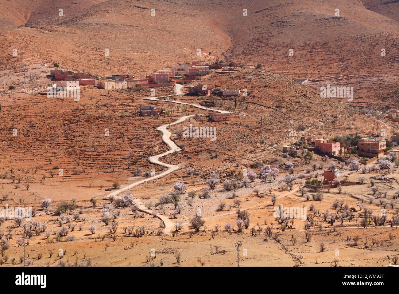 Blooming almond trees and winding desert road in Anti-Atlas mountains ...