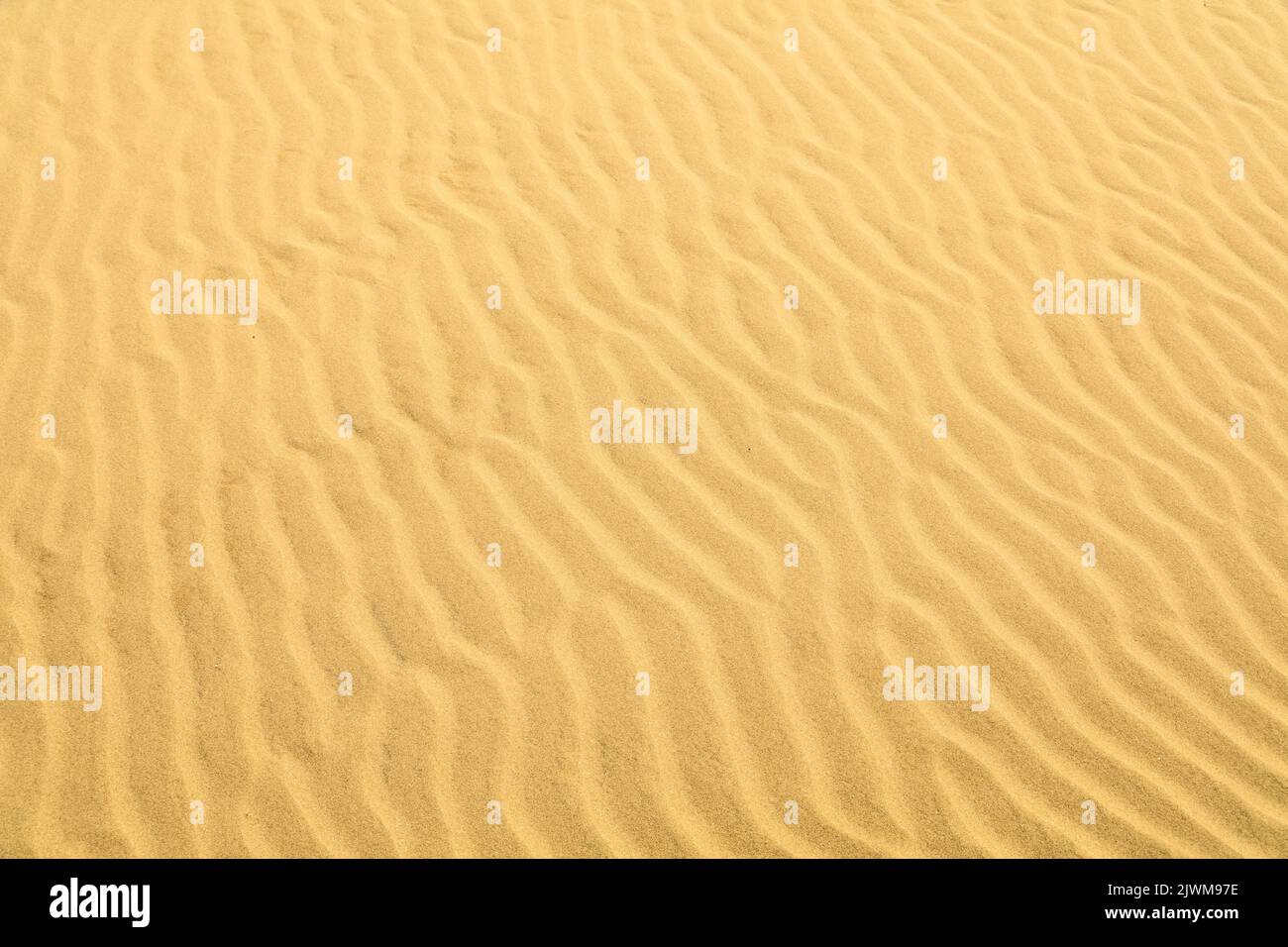 Sand pattern texture in Morocco. Desert sand ripples background Stock ...