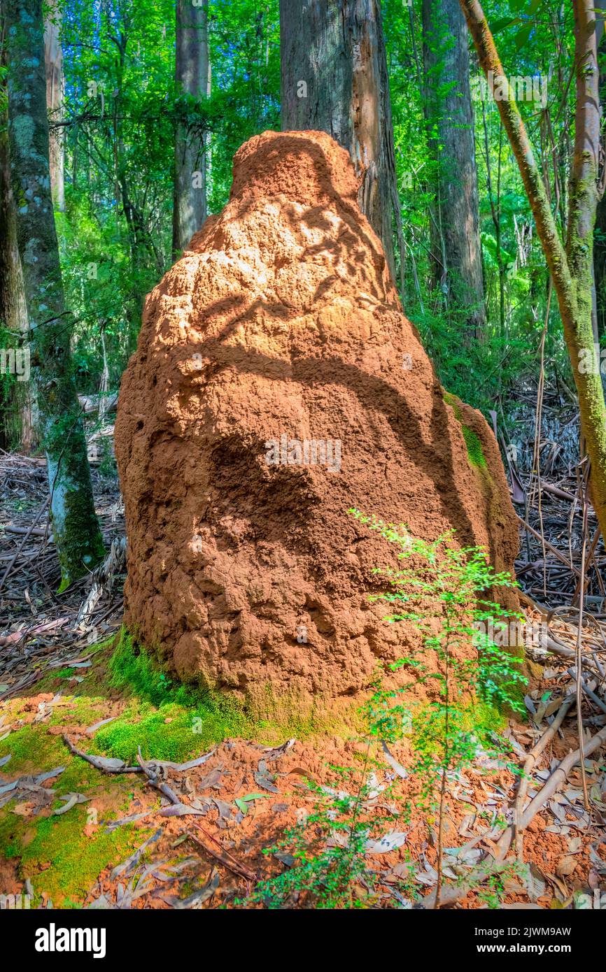 Victoria nature hi-res stock photography and images - Alamy