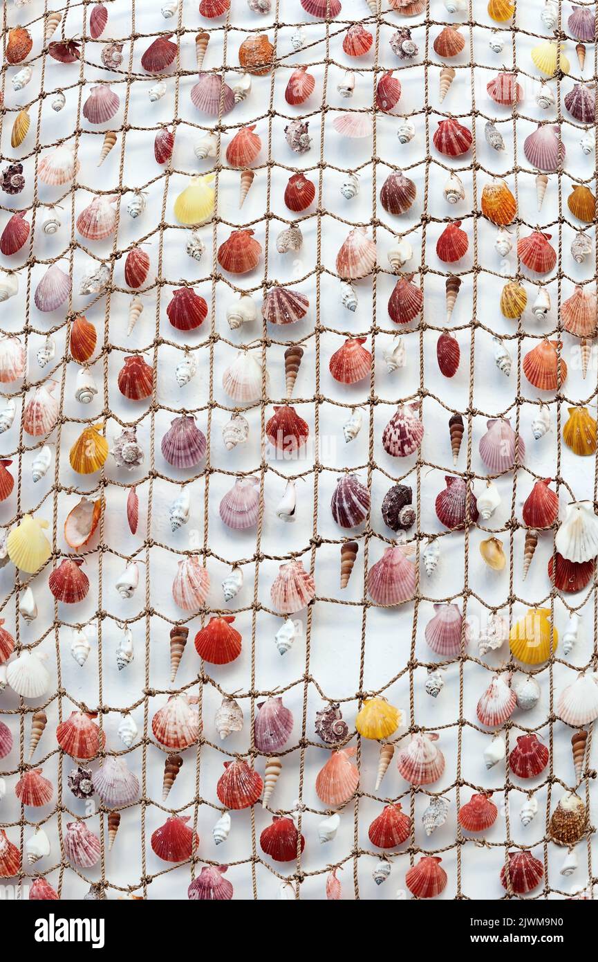 Netting with different colorful sea shells Stock Photo - Alamy