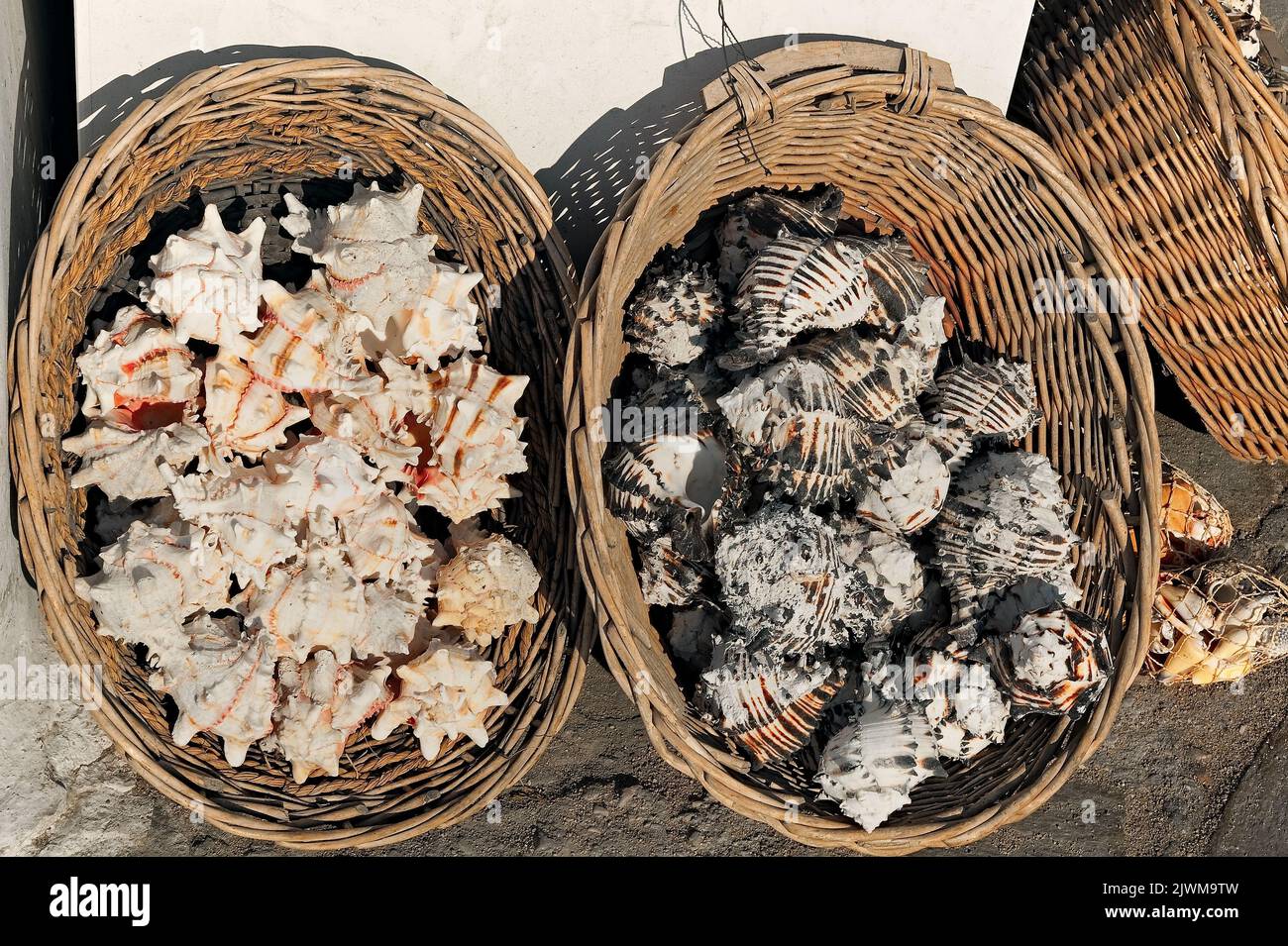Baskets with sea shells for souvenirs, Mykonos, Greece Stock Photo - Alamy