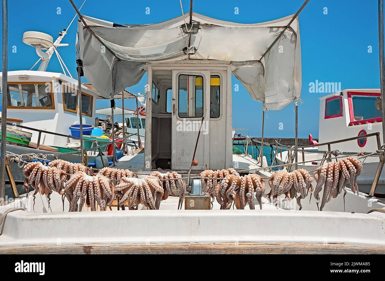 The boat in the port after the successful fishing with drying octopuses ...