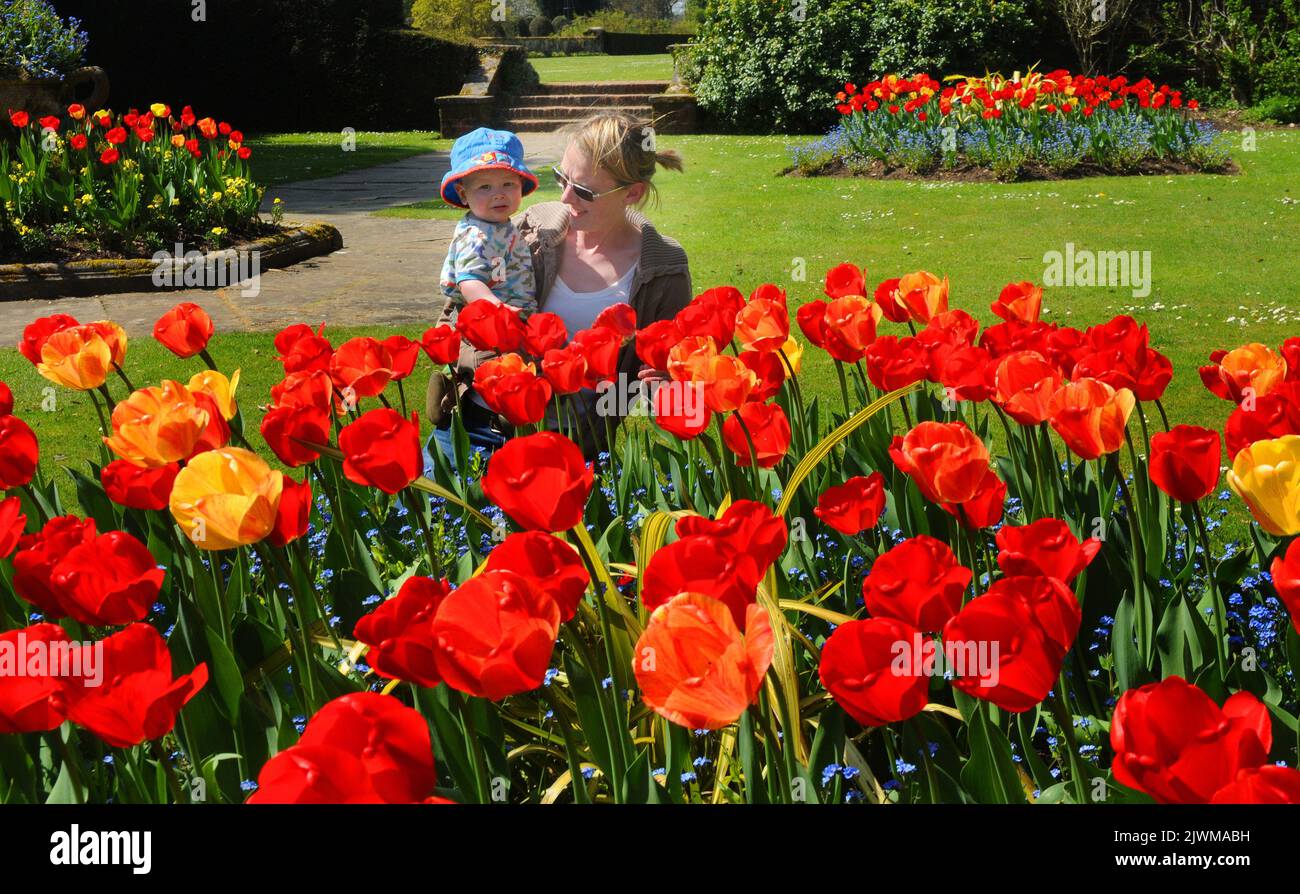 ONE YEAR OLD AARON BUDD SHOWS HIS MUM SOPHIE LOOK AT THE MAGNIFICENT ...
