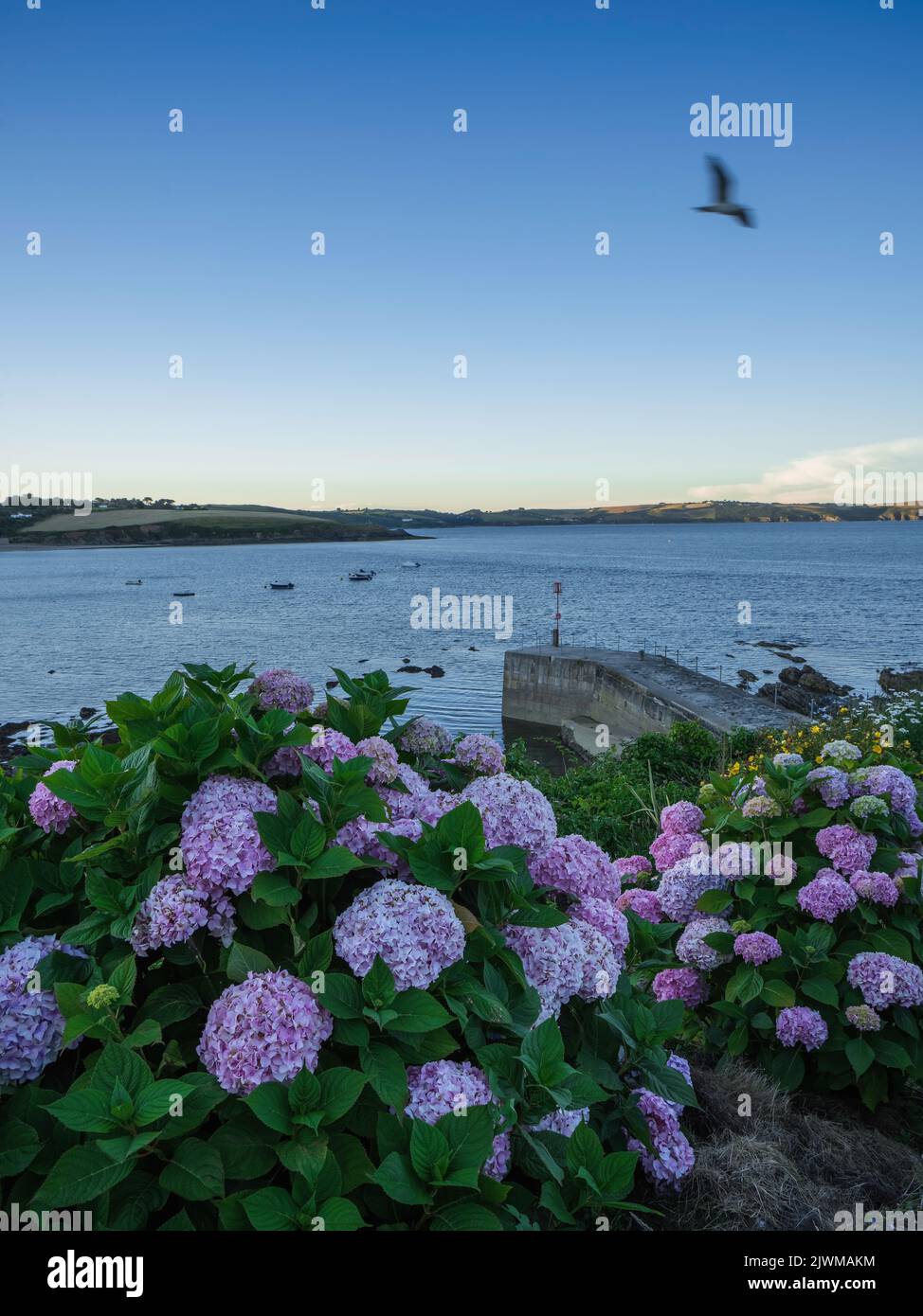 View of the Portscatho Harbour, Cornwall UK Stock Photo - Alamy