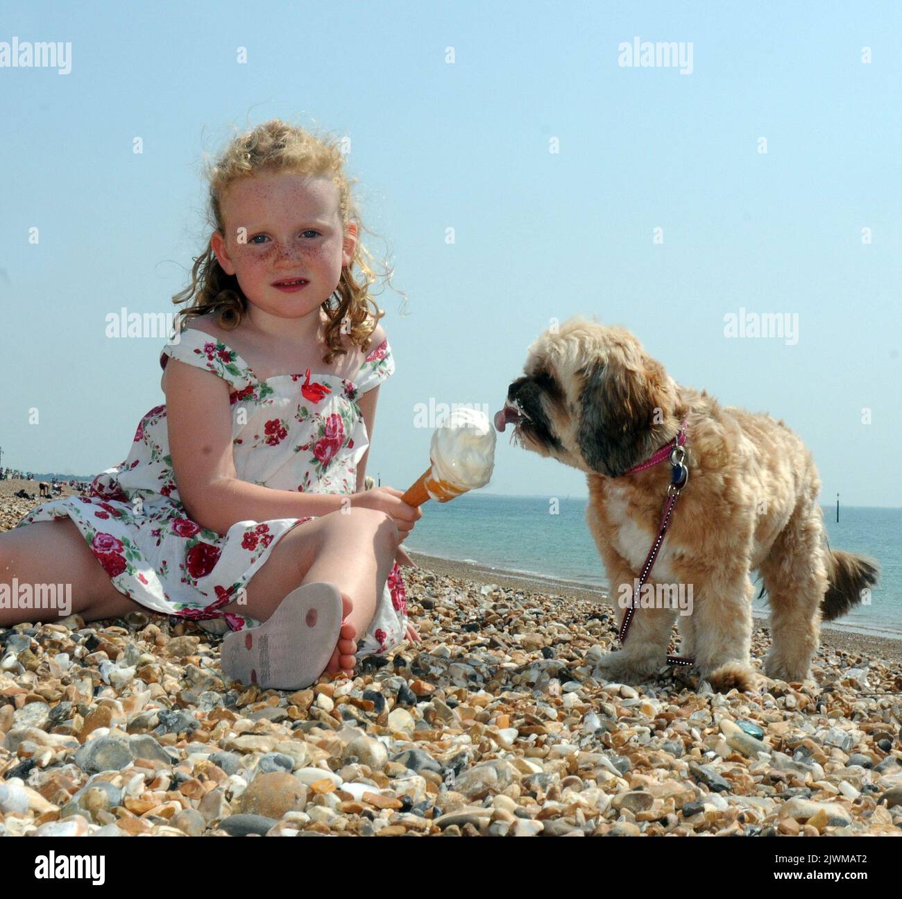 4 YEAR OLD CHARLIE ALDEN SHARES AN ICE CREAM WITH HER DOG DOTTY ON THE ...