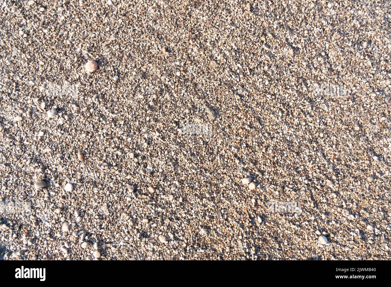 Large coarse wet sea sand consisting of fragments and debris sea shells ...
