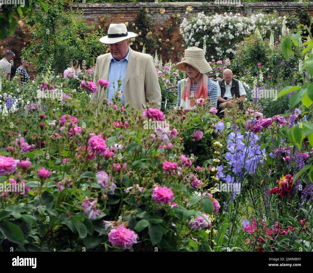 ITS BEEN A GOOD YEAR FOR THE ROSES. THE FAMOUS ROSE GARDEN AT ...