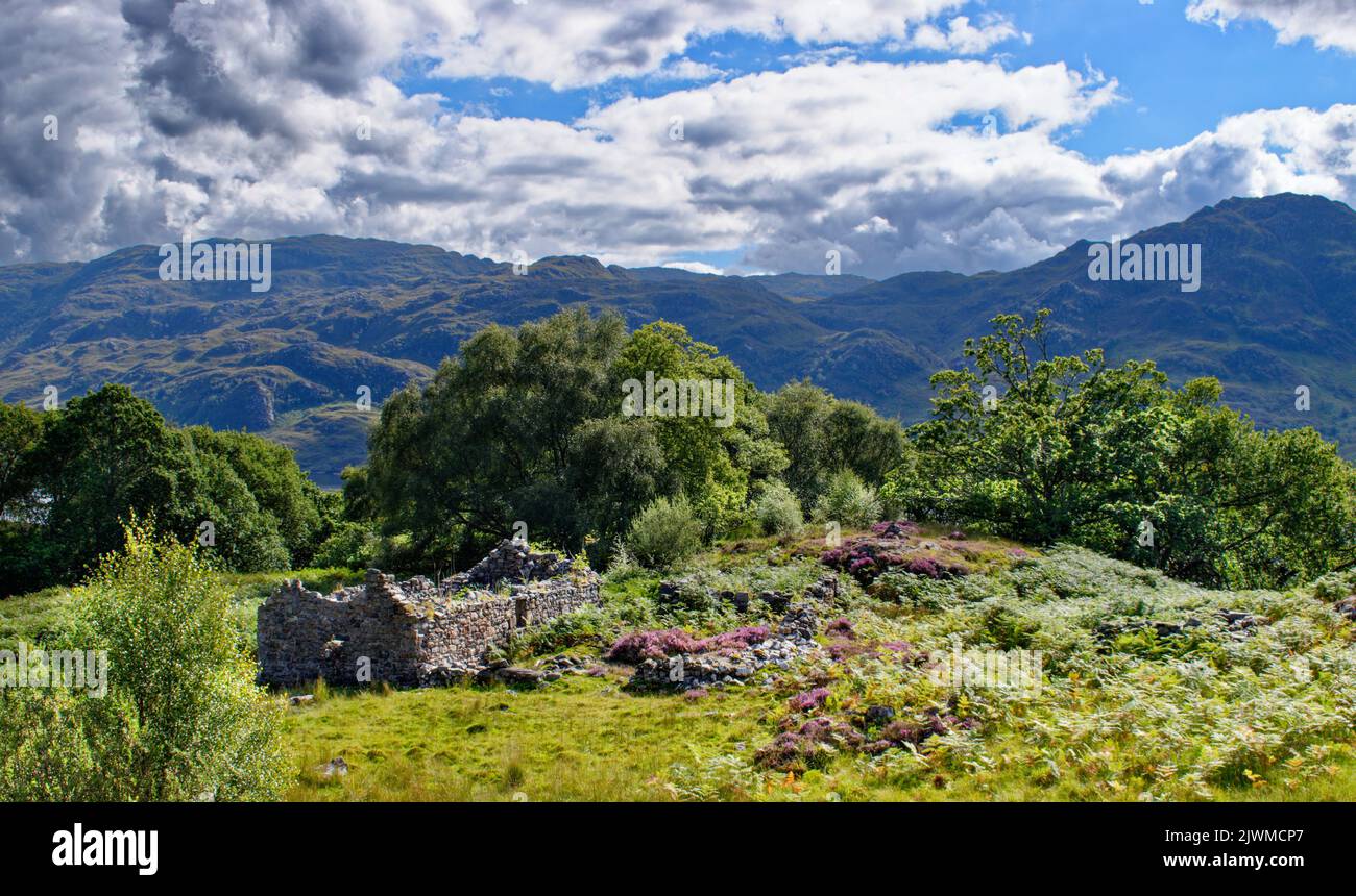 LOCH MORAR LOCHABER SCOTLAND LATE SUMMER PURPLE HEATHER AND THE REMAINS ...