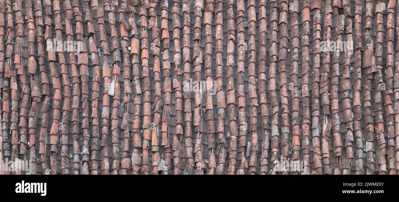 Roof Texture Seamless