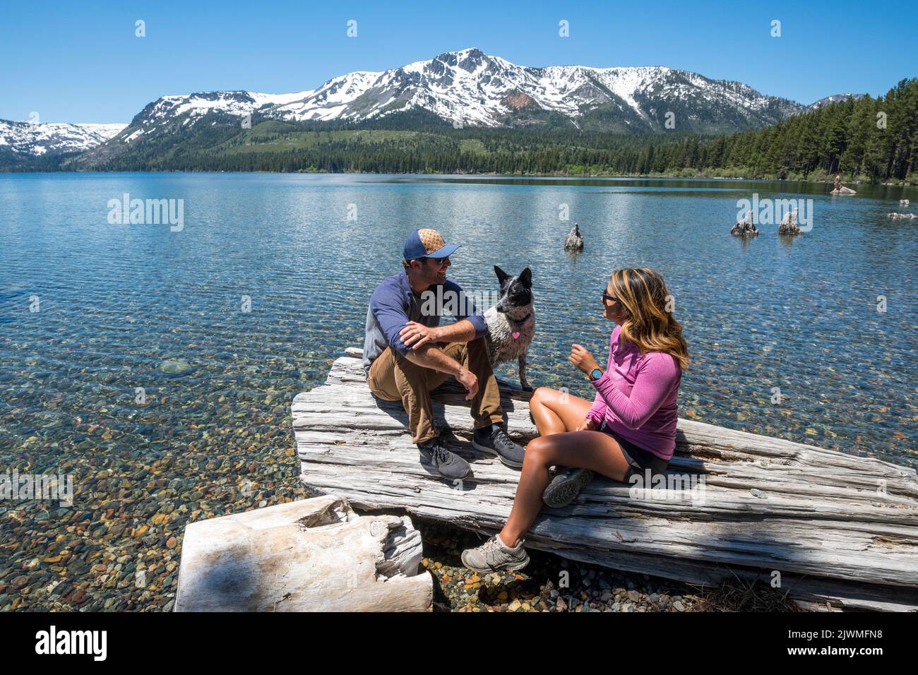A couple with their dog on the shoreline of Fallen Leaf Lake Stock ...