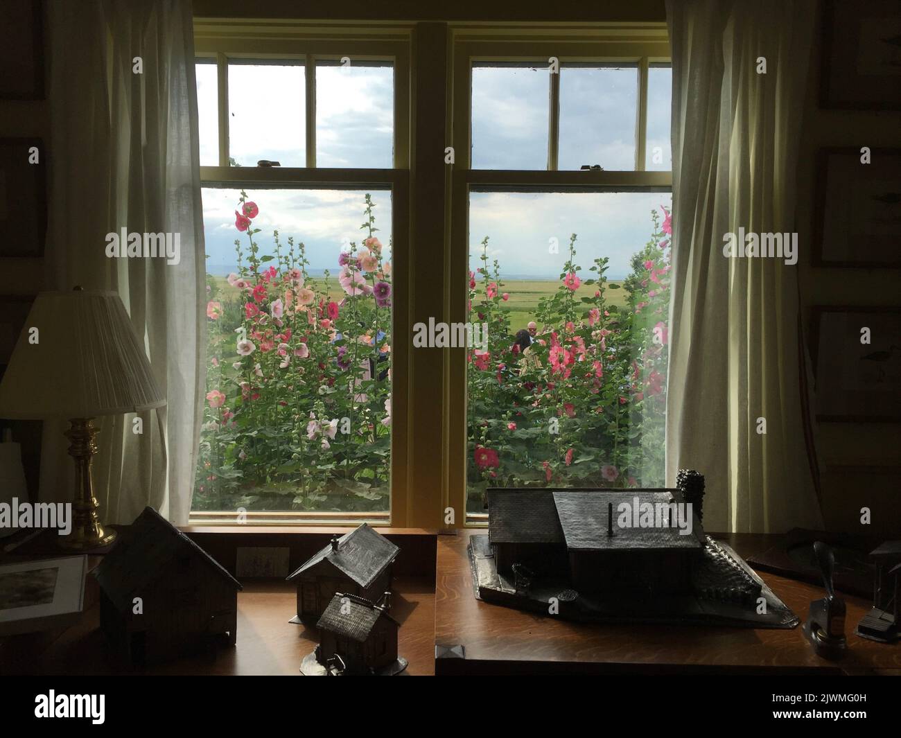 Flower garden view from historic cottage window Stock Photo - Alamy