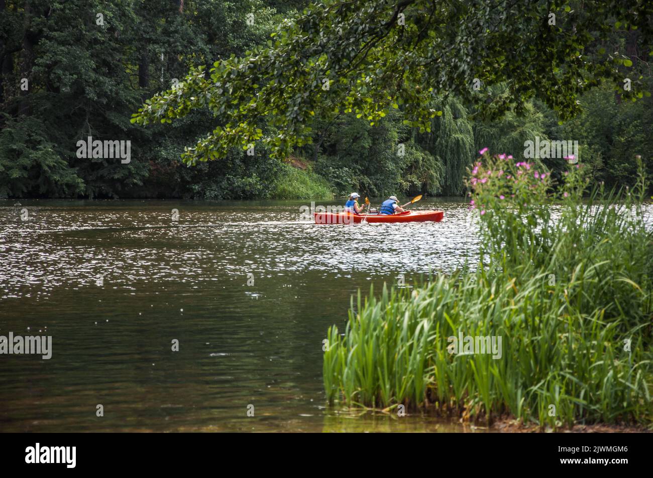Two people in a kayak, rafting on a forest lake in summer Stock Photo ...