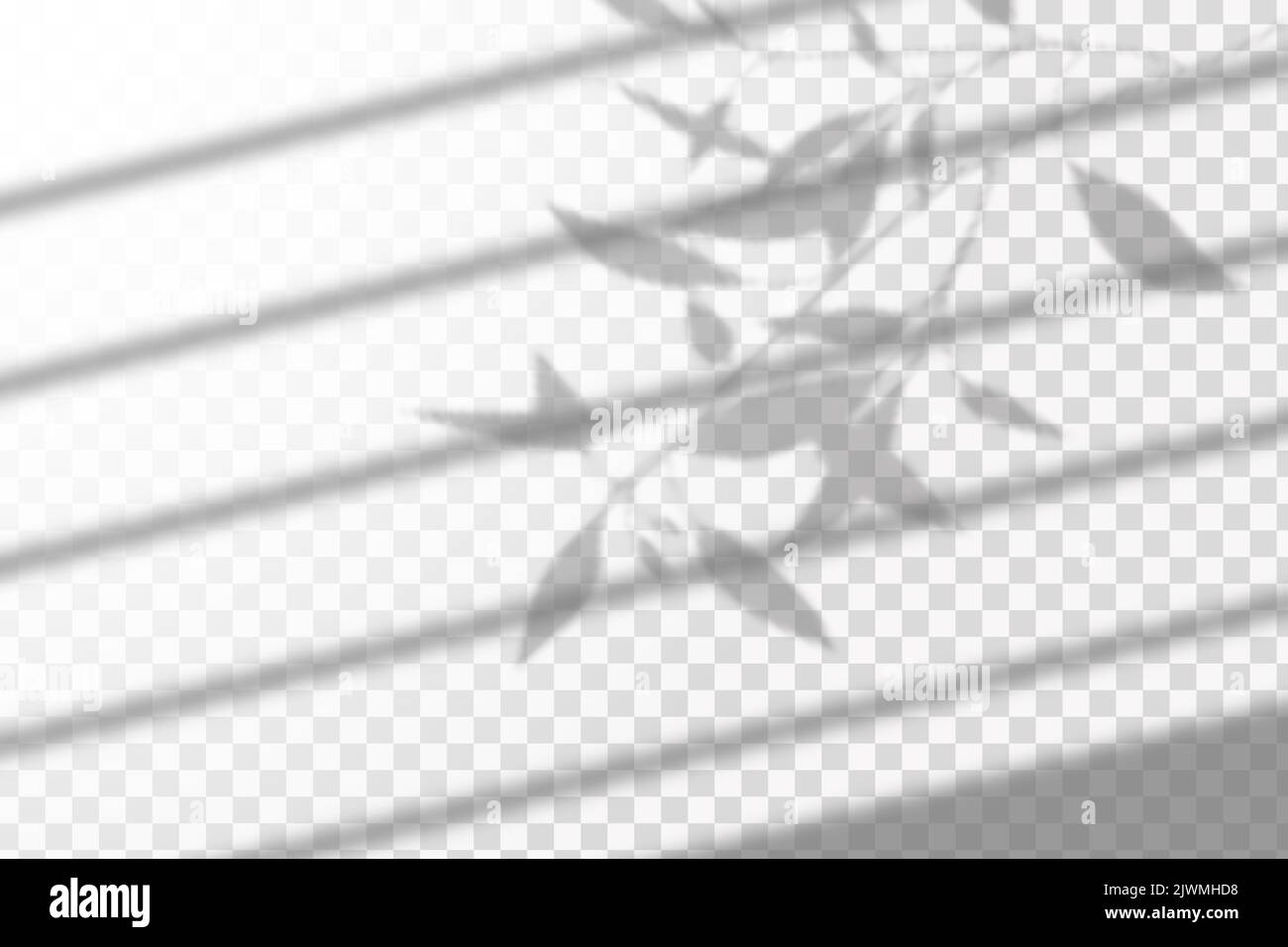 Scenes of natural lighting.Soft shadow form window and plants, light ...