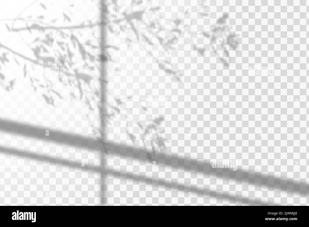 Scenes of natural lighting.Soft shadow form window and plants, light ...