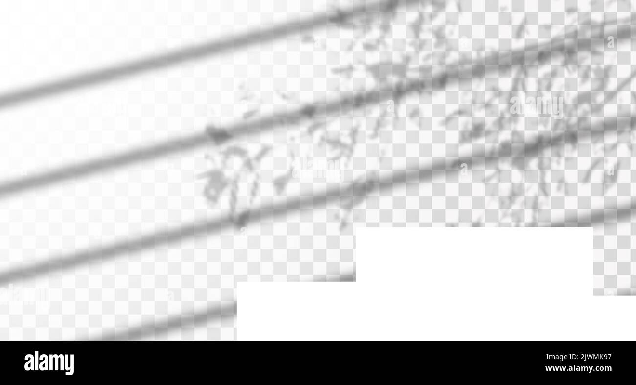 Scenes of natural lighting.Soft shadow form window and plants, light ...