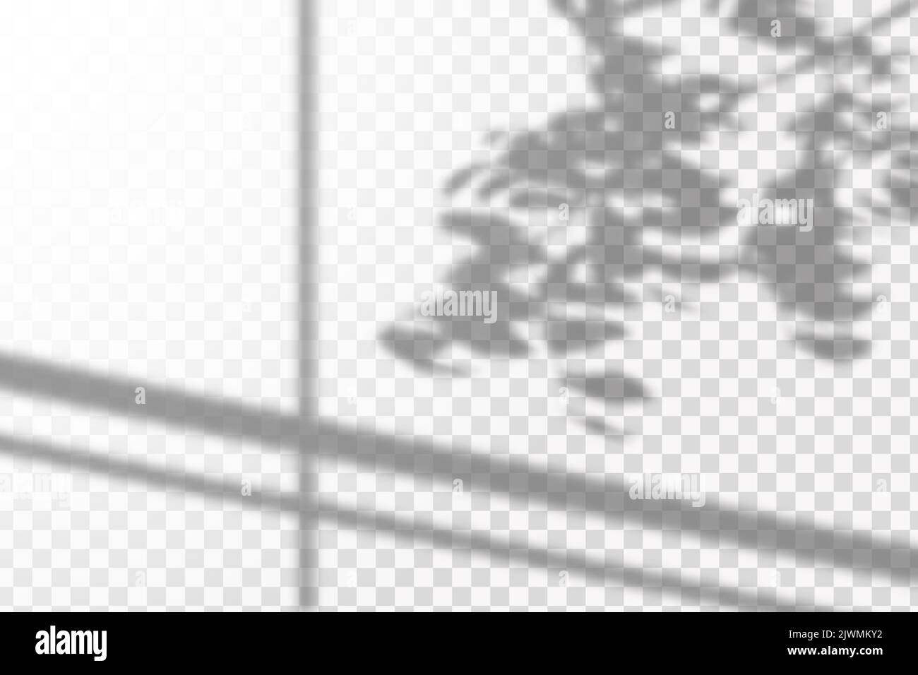 Scenes of natural lighting.Soft shadow form window and plants, light ...