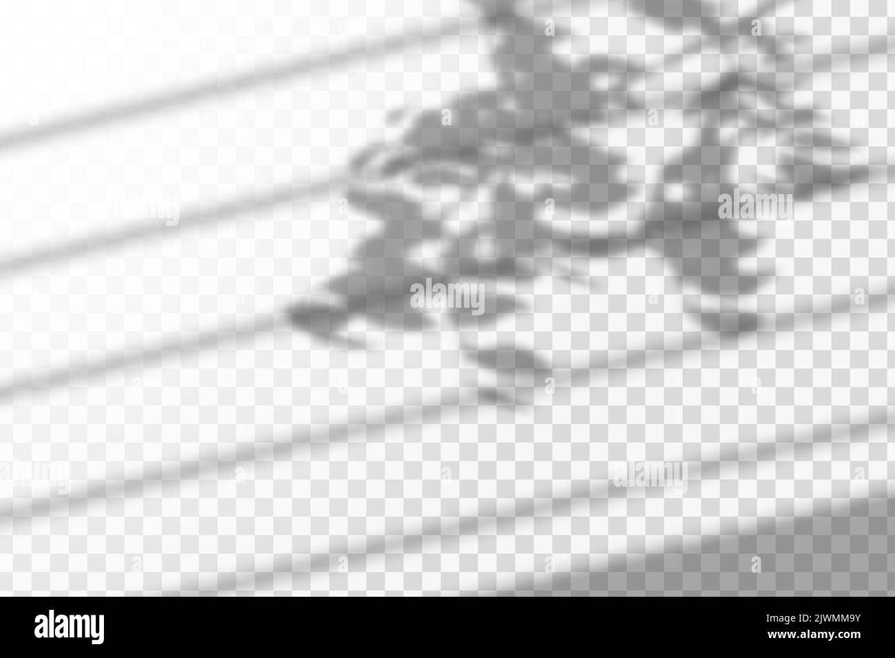 Scenes of natural lighting.Soft shadow form window and plants, light ...