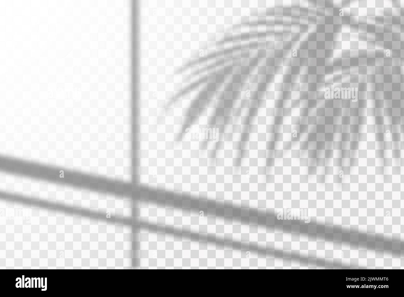 Scenes of natural lighting.Soft shadow form window and plants, light ...