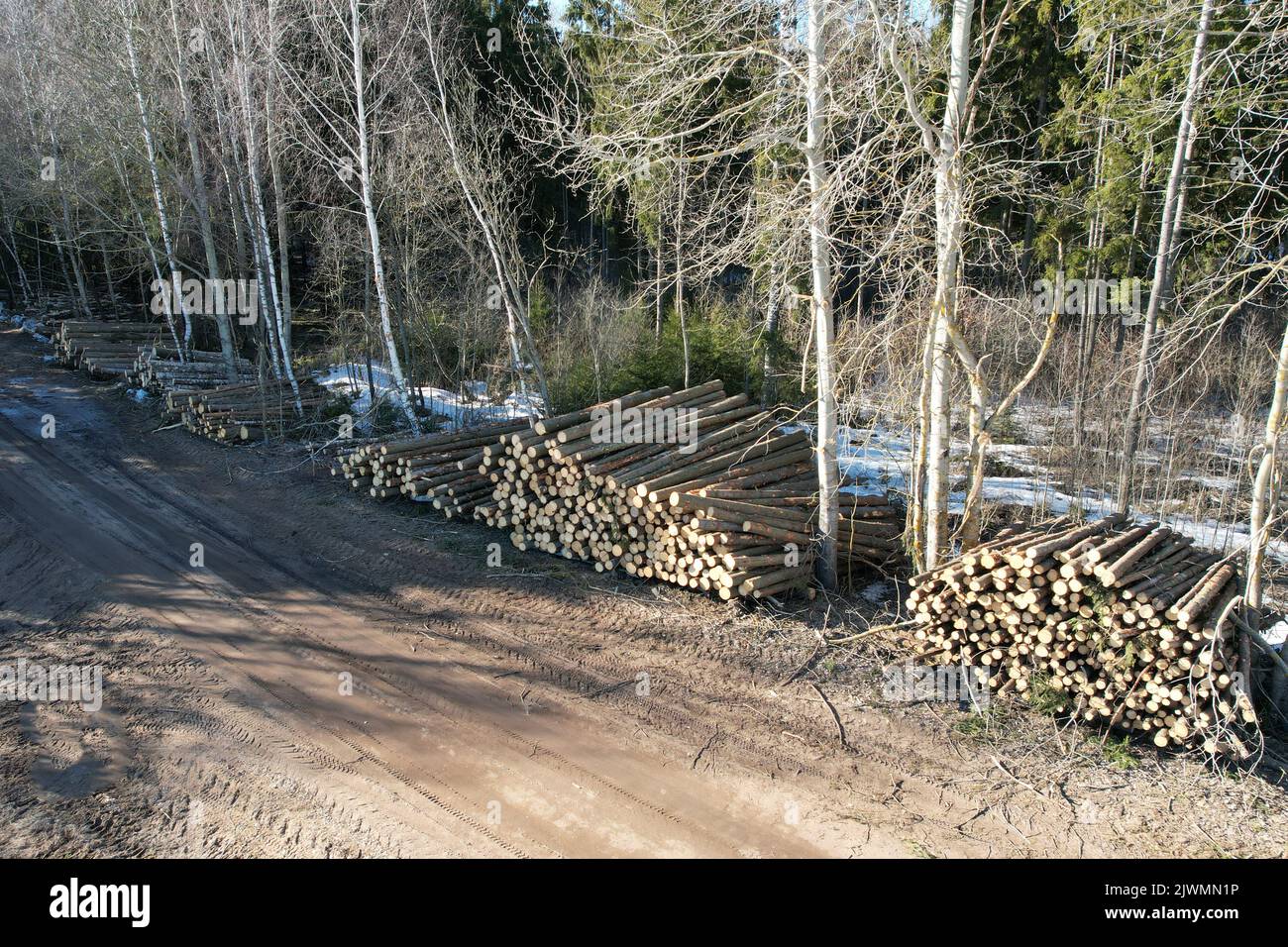 Stack of cut logs on forest background aerial view Stock Photo - Alamy
