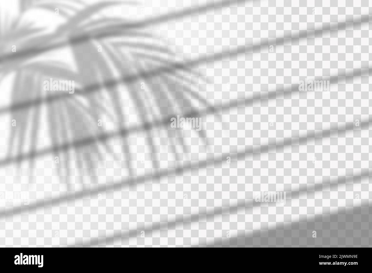 Scenes of natural lighting.Soft shadow form window and plants, light ...