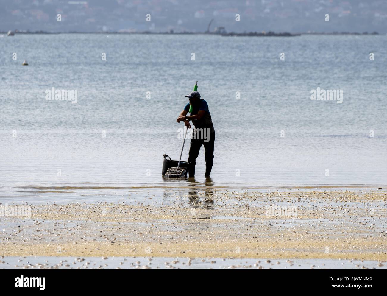 Rake clams hi-res stock photography and images - Alamy