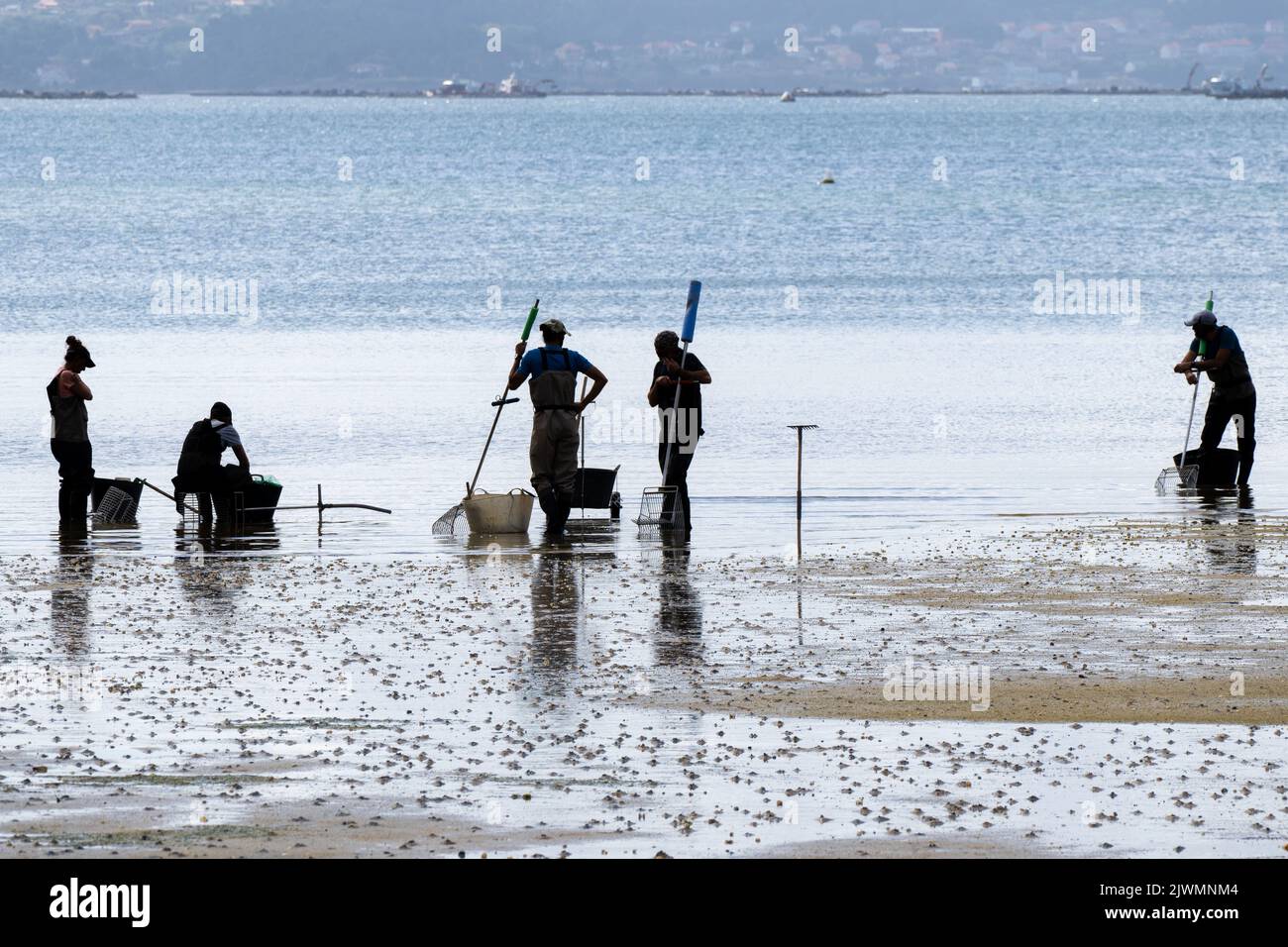 Gatherers of clams hi-res stock photography and images - Alamy