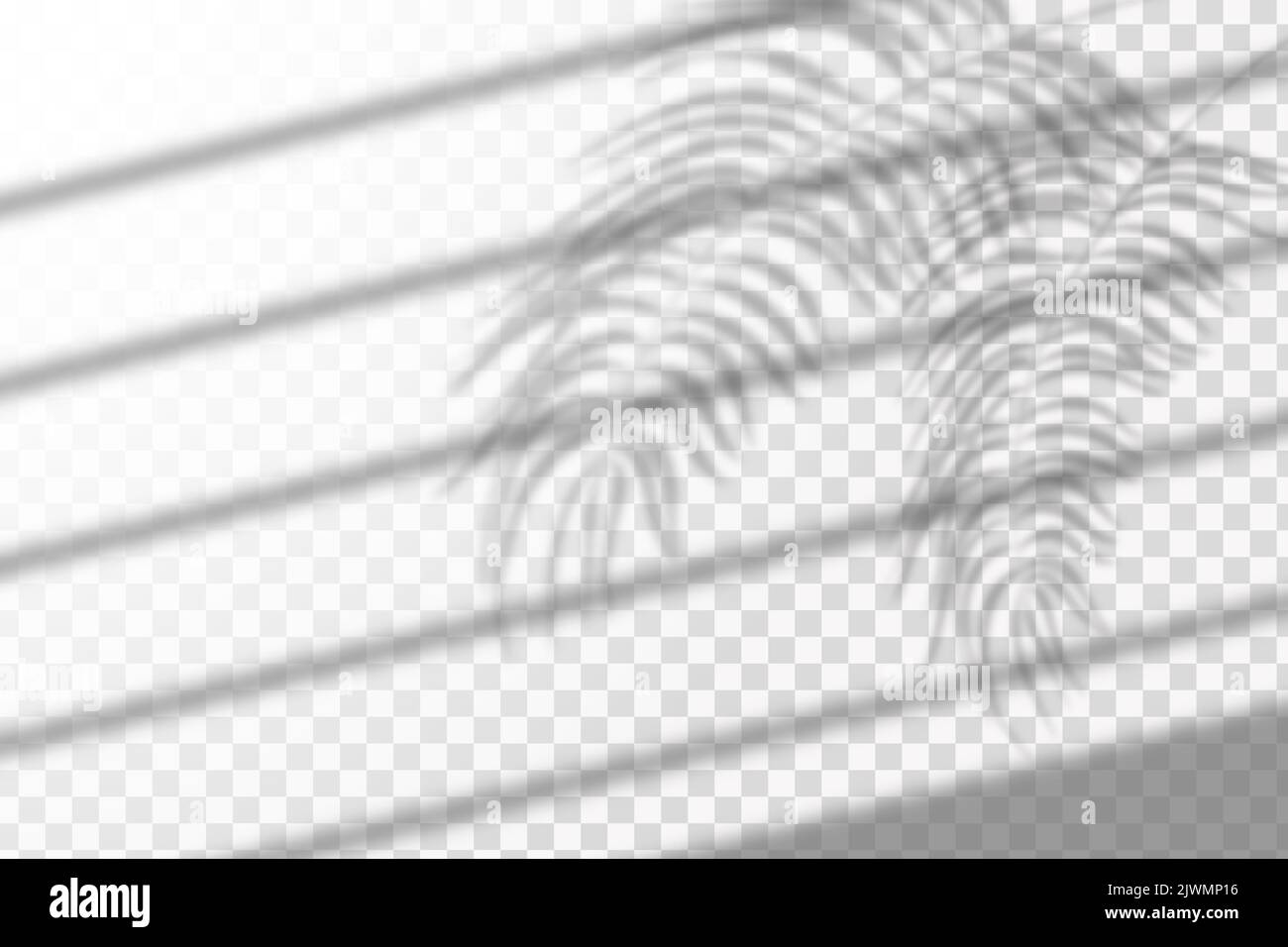 Scenes of natural lighting.Soft shadow form window and plants, light ...