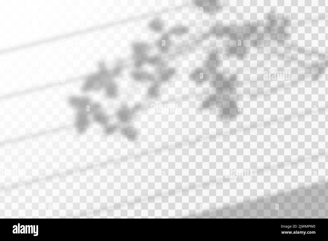 Scenes of natural lighting.Soft shadow form window and plants, light ...