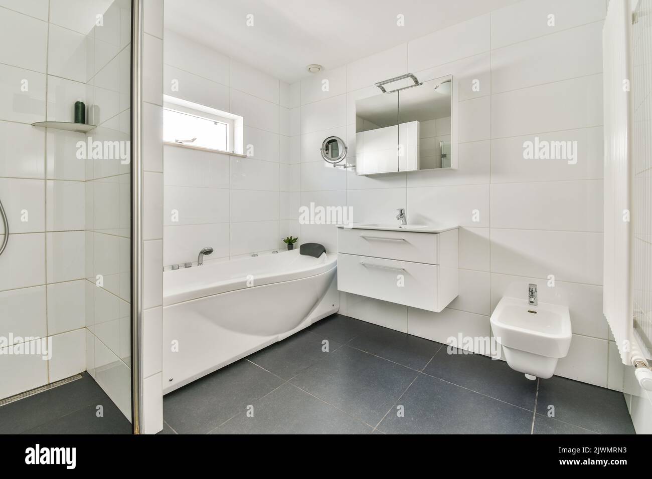 Interior of modern bathroom with rectangular mirror and clean sinks ...