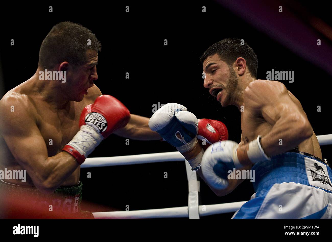 Australian Featherweight boxer (blue trunks) Billy Dib trades punches ...