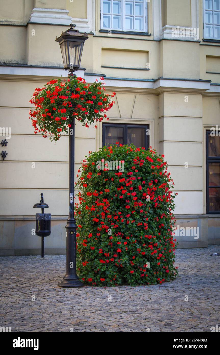 Polish urbanism hi-res stock photography and images - Alamy