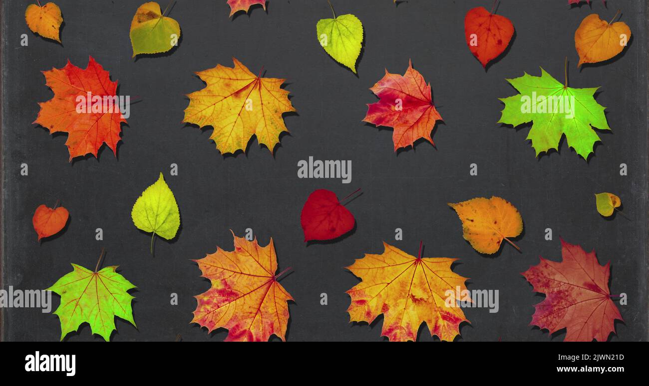 Animated pattern of rotating dry autumn leaves with shadow on ...