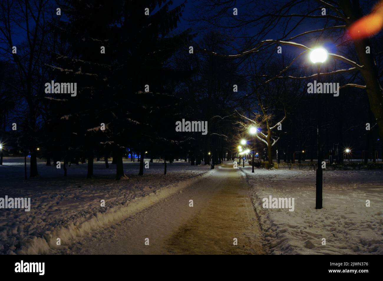 Walk around the snowy park at night Stock Photo - Alamy