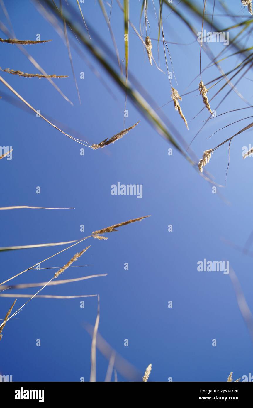 Clear ground hi-res stock photography and images - Alamy