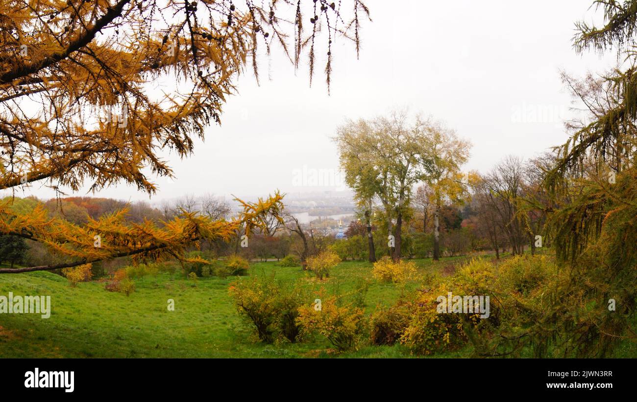 Panorama natural park in autumn hi-res stock photography and images - Alamy