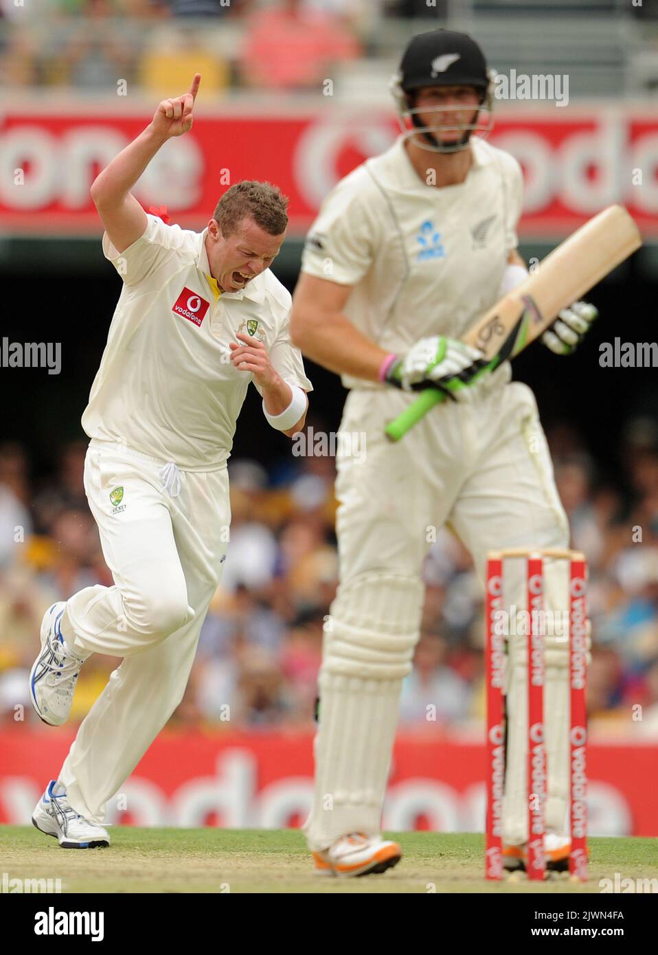 Australian bowler Peter Siddle (L) celebrates dismissing New Zealand ...