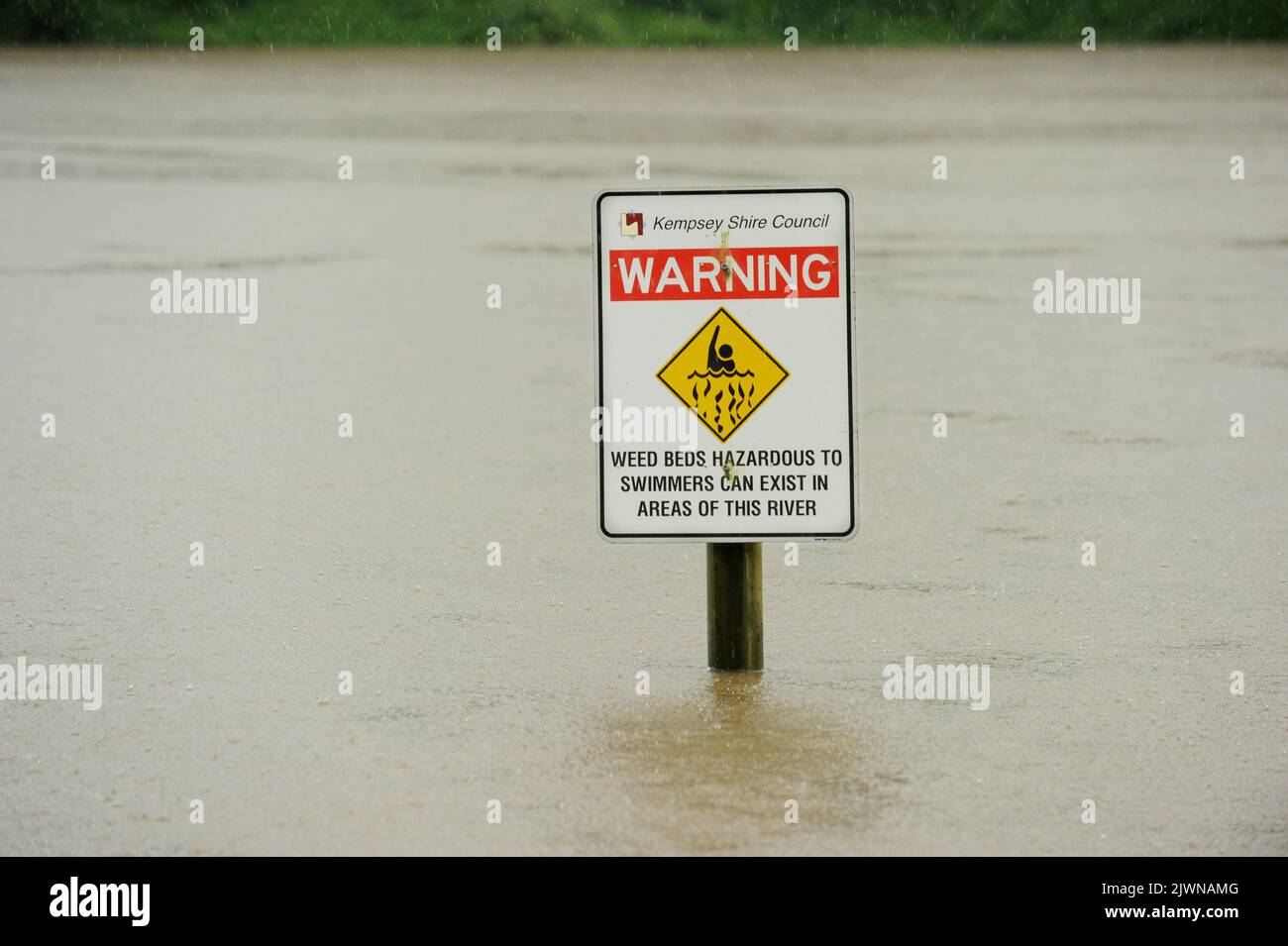 Warning signs for swimmers are swamped by the flooded Macleay River at ...