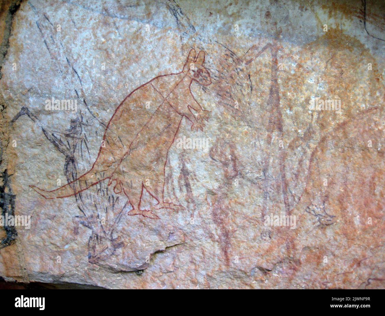 Rock art at Mitchell Falls. This style of irregular infill paintings ...