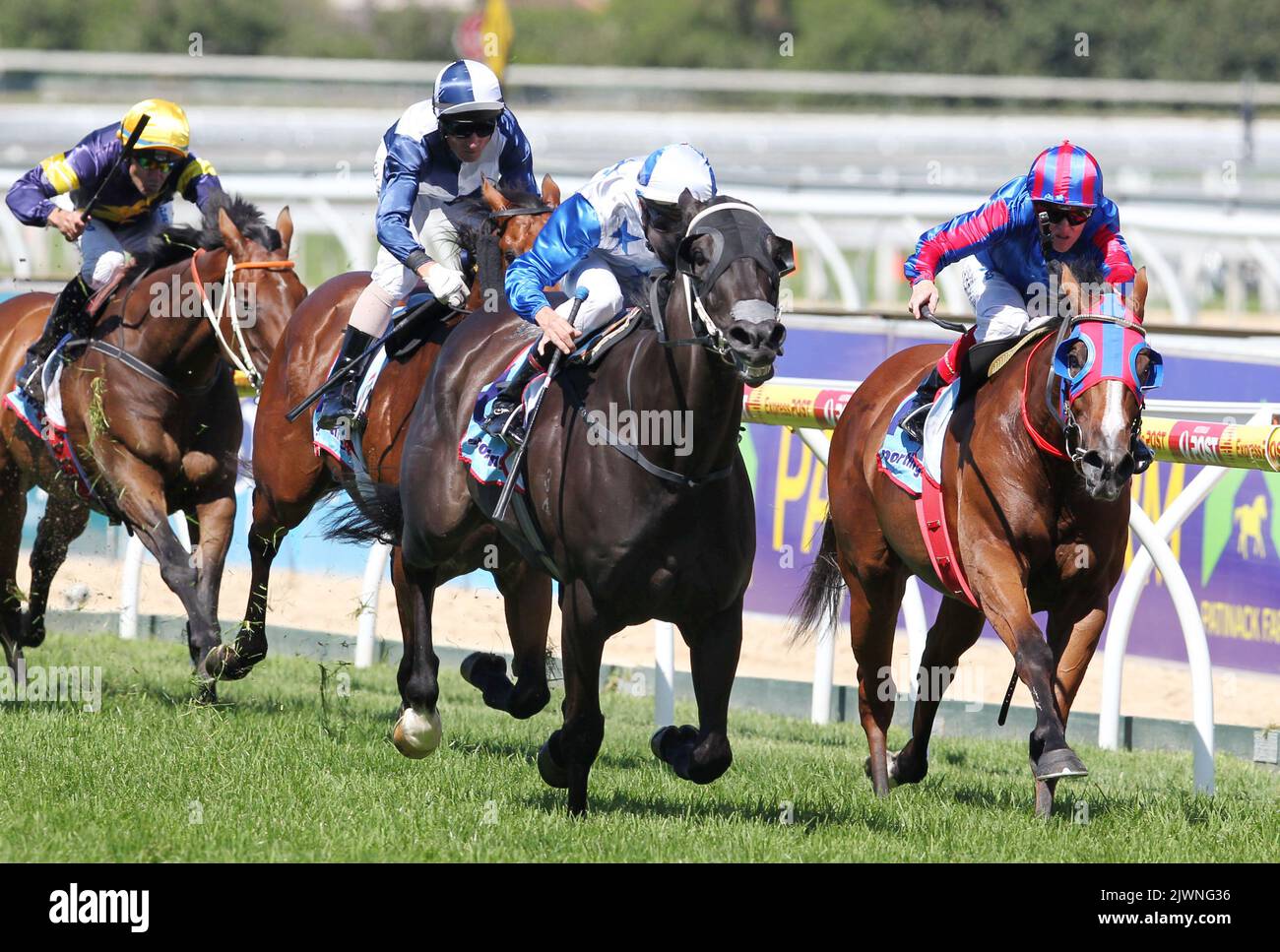 Jockey Nash Rawiller (blue and white colours) riding King Mufhasa wins ...
