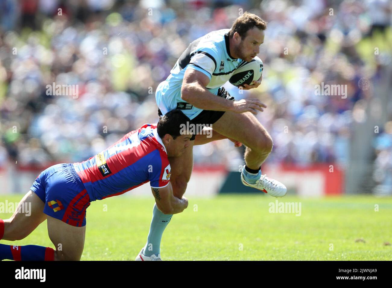 Colin Best attacks during NRL Rugby League match between Cronulla ...
