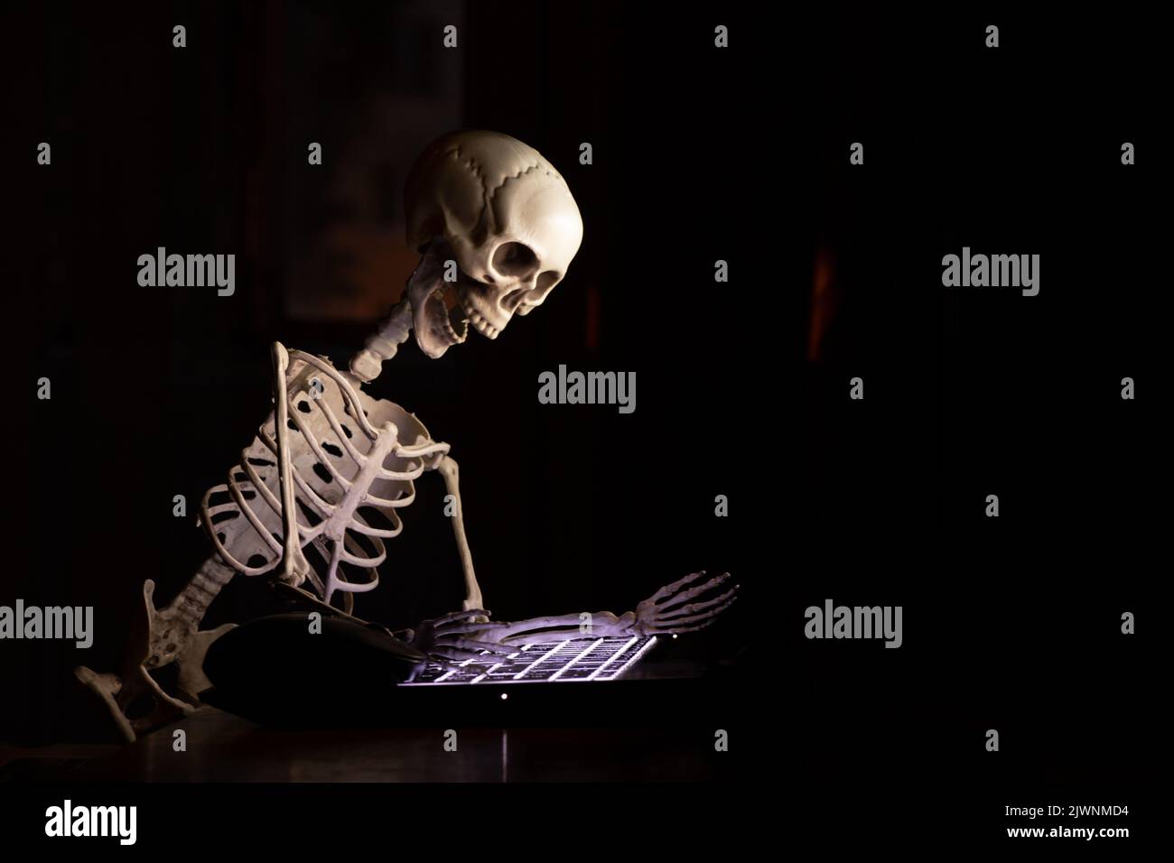 Skeleton sitting computer hi-res stock photography and images - Alamy