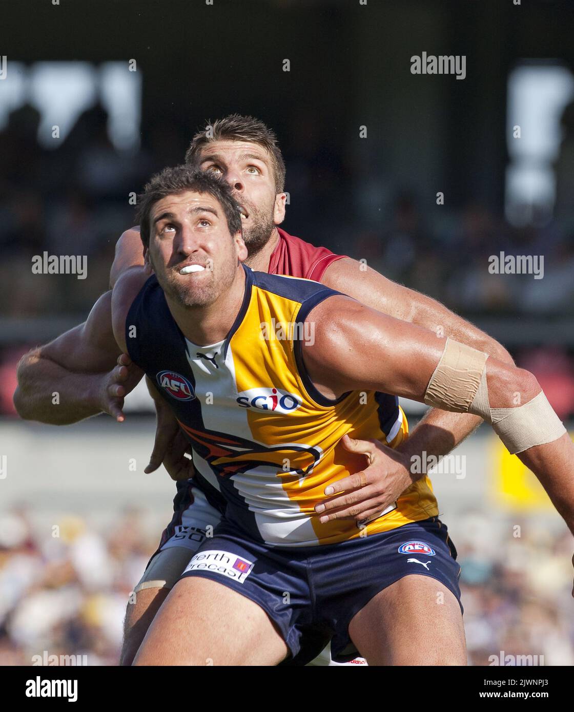 Dean Cox for the Eagles and Mark Jamar for Melbourne during the AFL ...