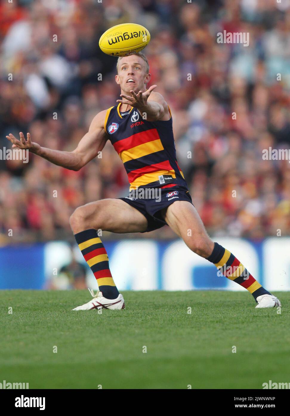 Nathan Van Berlo of Adelaide Crows keeps his eye on the ball during ...