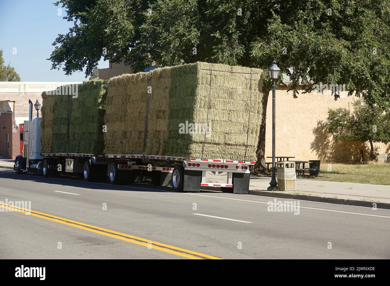 tractor trailer loaded with stacks of alfalfa and hay bales Stock Photo ...
