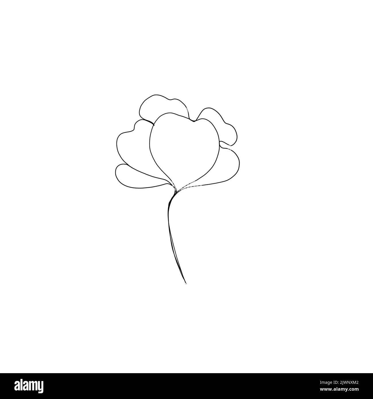 Poppy flower line art. Minimalist contour drawing. One line artwork ...