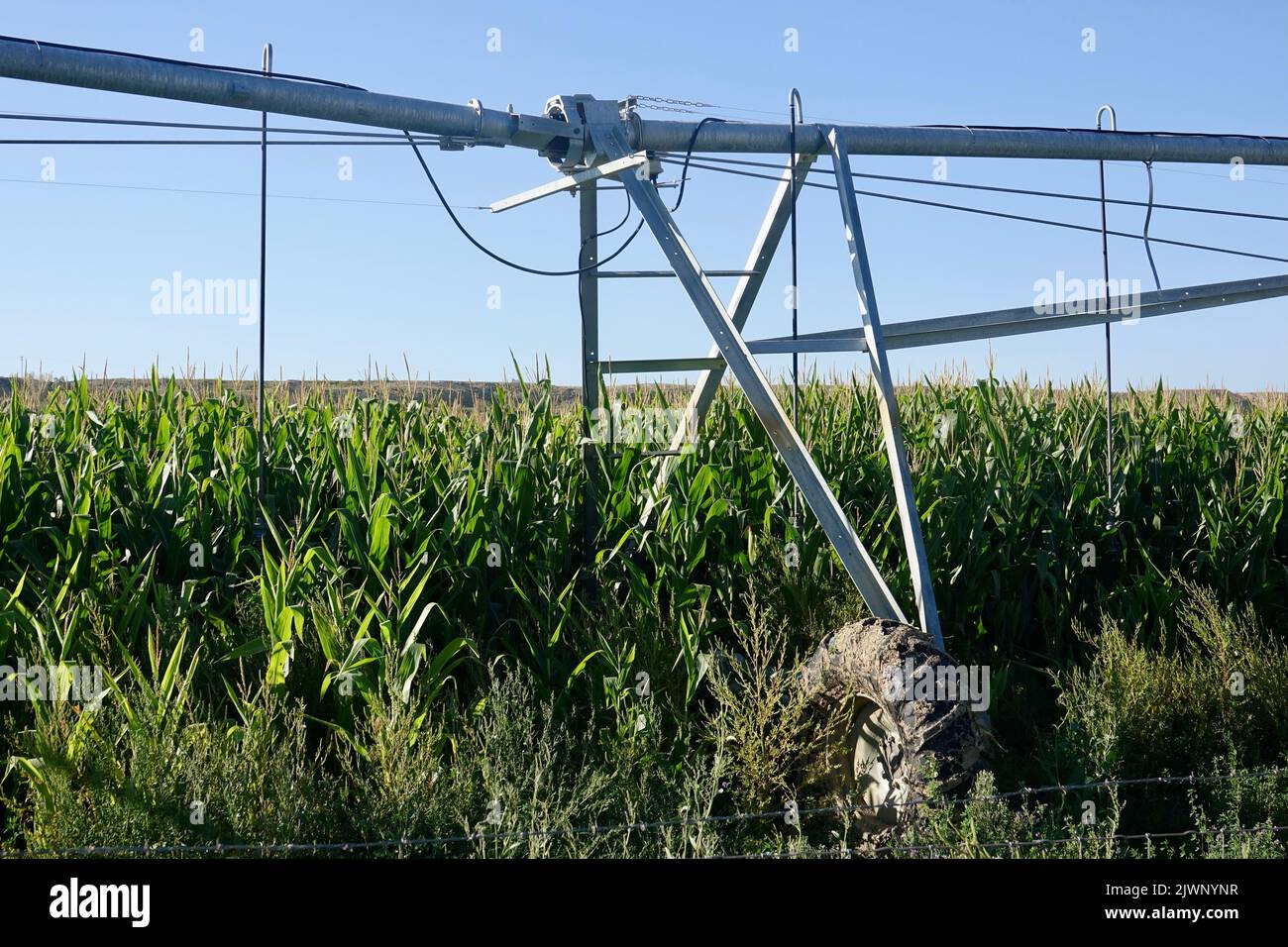 Closeup modern irrigation system hi-res stock photography and images ...