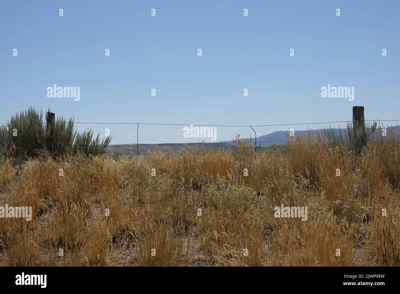 summer day in the desert Stock Photo - Alamy