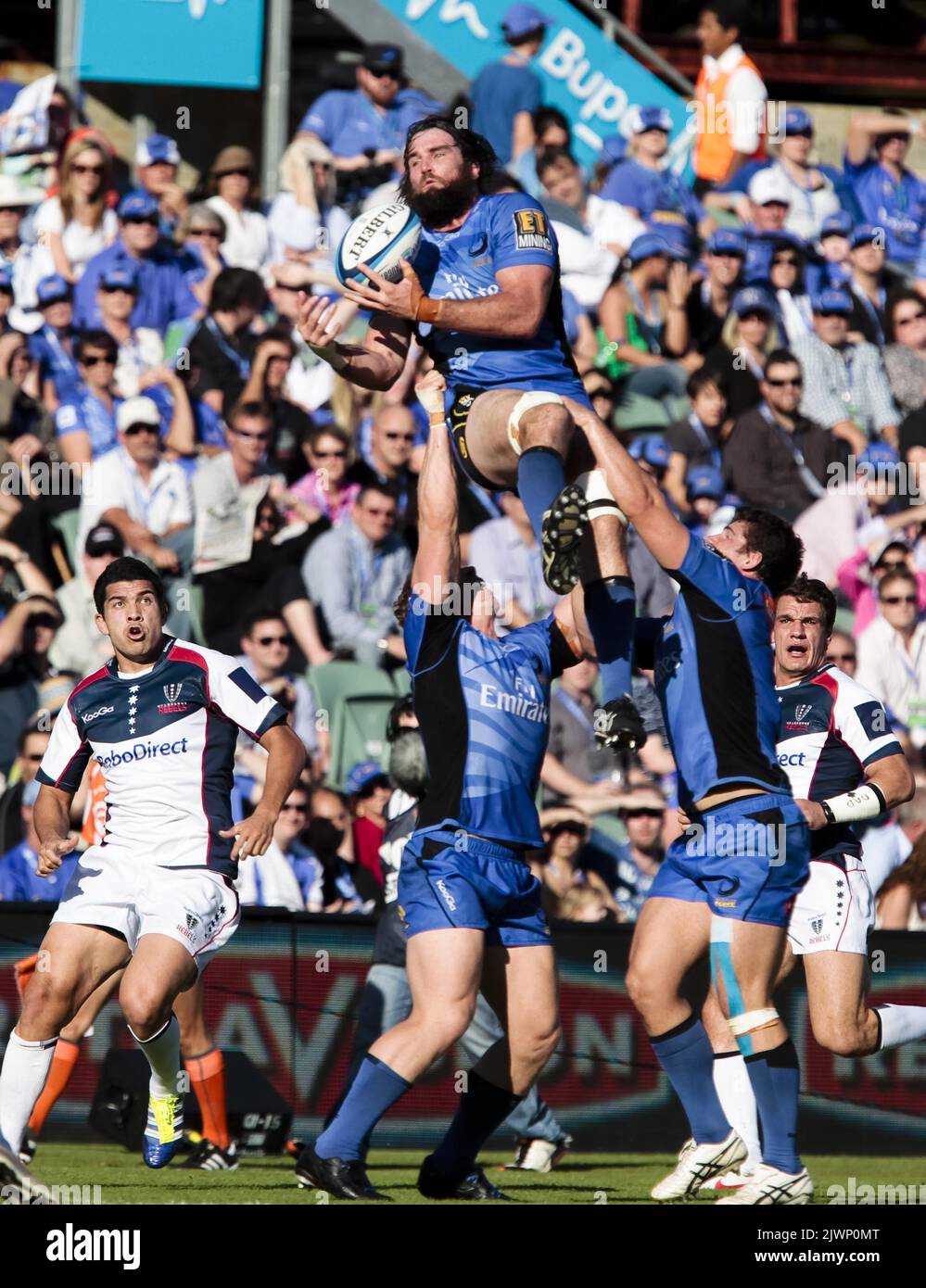 Toby Lynn for the Western Force during the super rugby match between ...